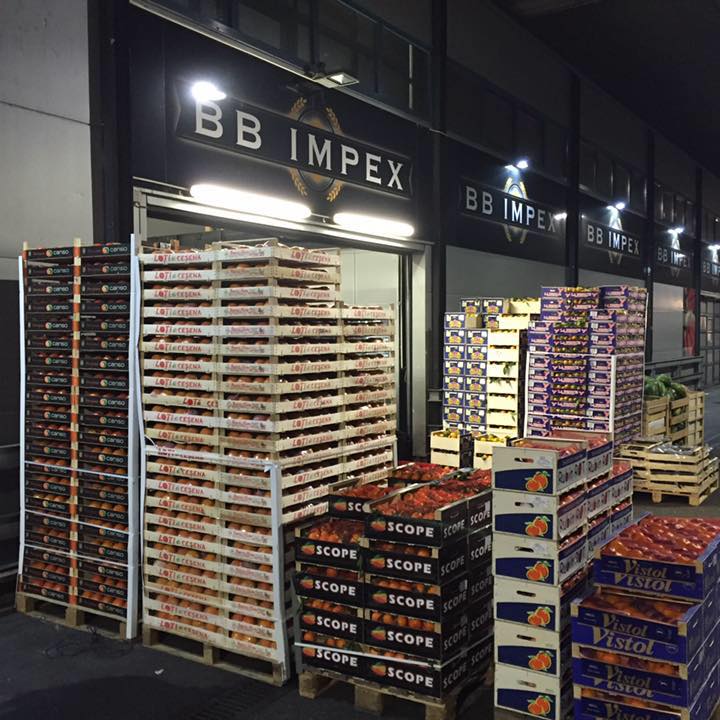 Startseite - BB - IMPEX